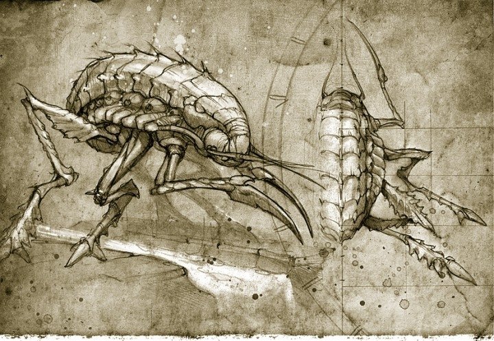 Download Fantasy Creature Insect Creature Design Illustration Art