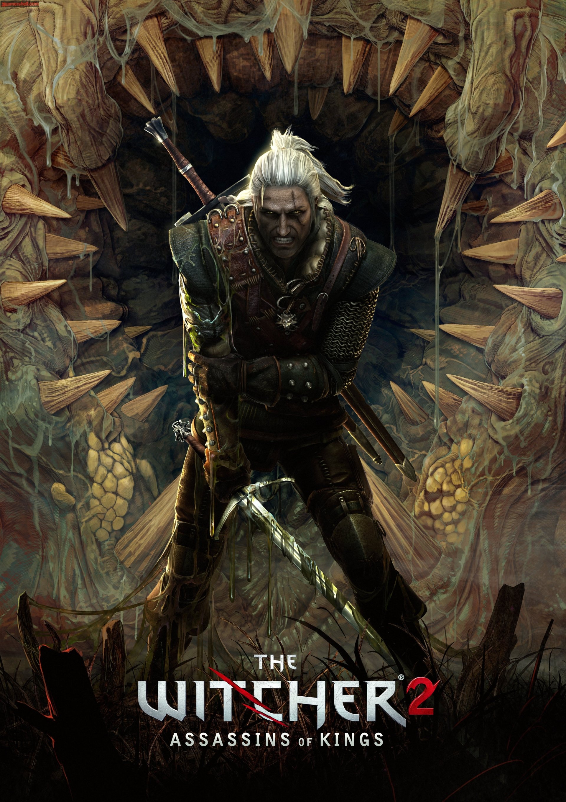 Download Video Game The Witcher 2: Assassins Of Kings Art