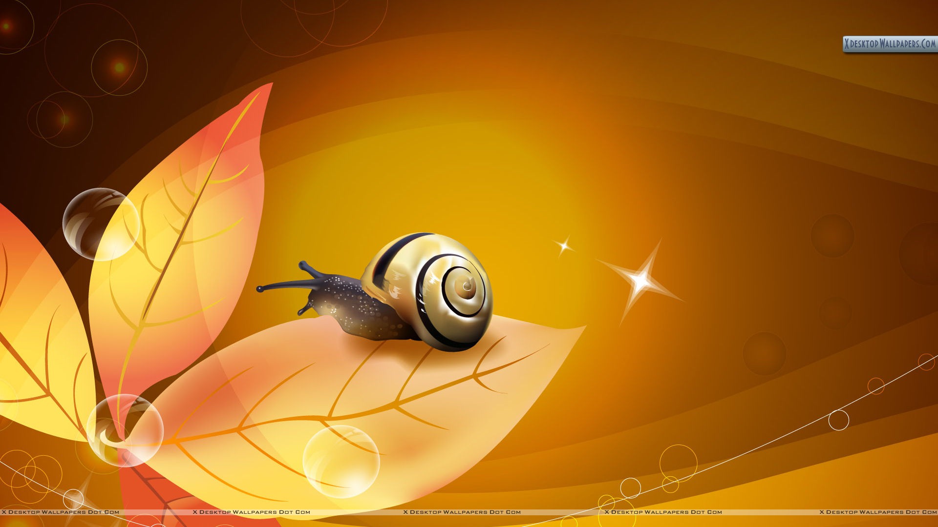 Snail Art
