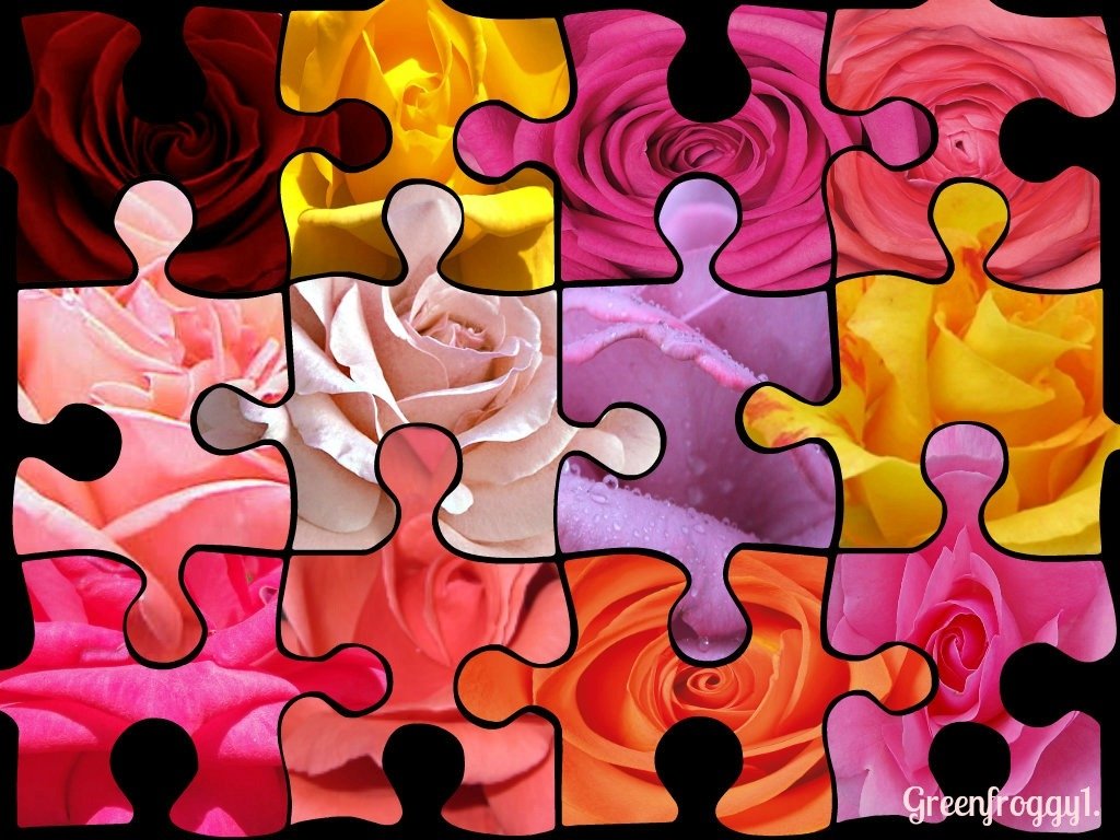 DOZEN ROSES by GREENFROGGY1