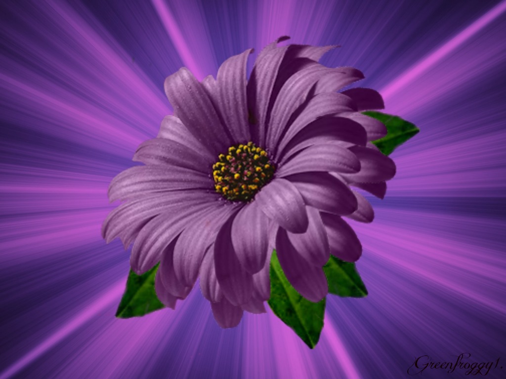 PURPLE HAZE by GREENFROGGY1