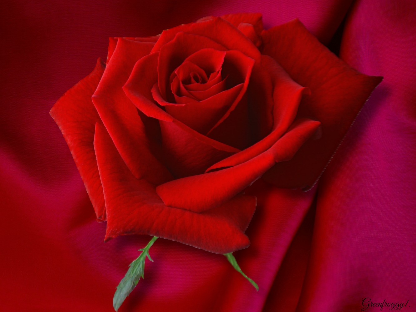 RED ON RED by GREENFROGGY1