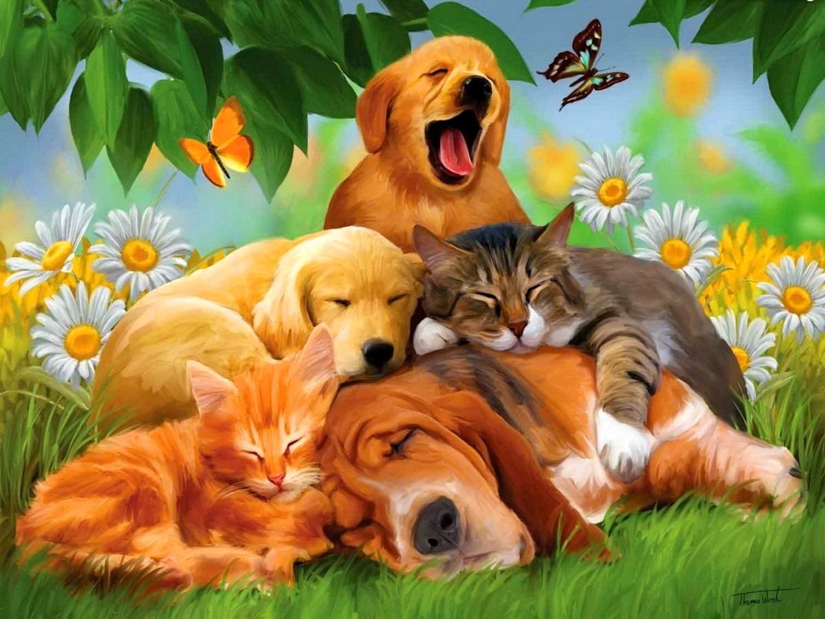 Adorable Animal Friends Nestled in Nature