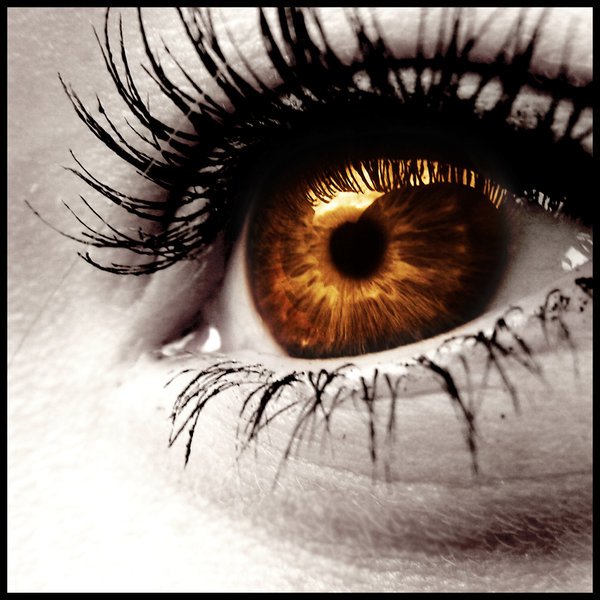 Fiery Gaze: The Artistry Within the Eye