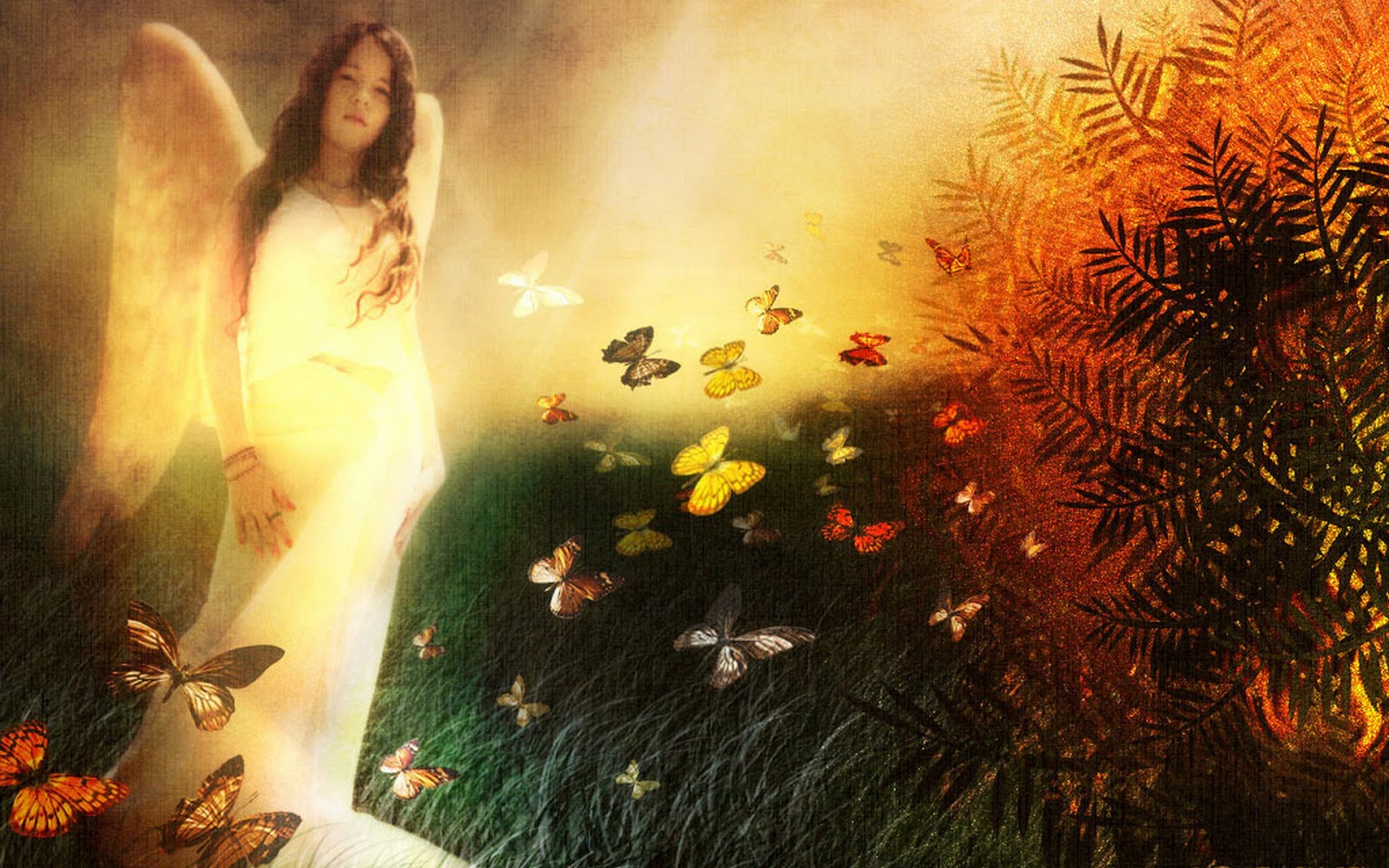 Download Butterfly Fantasy Angel Art