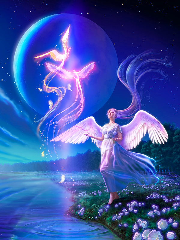 Fantasy Angel Art