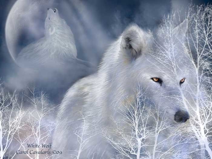 Moonlit Sentinel: The Mystical White Wolf of the Enchanted Forest