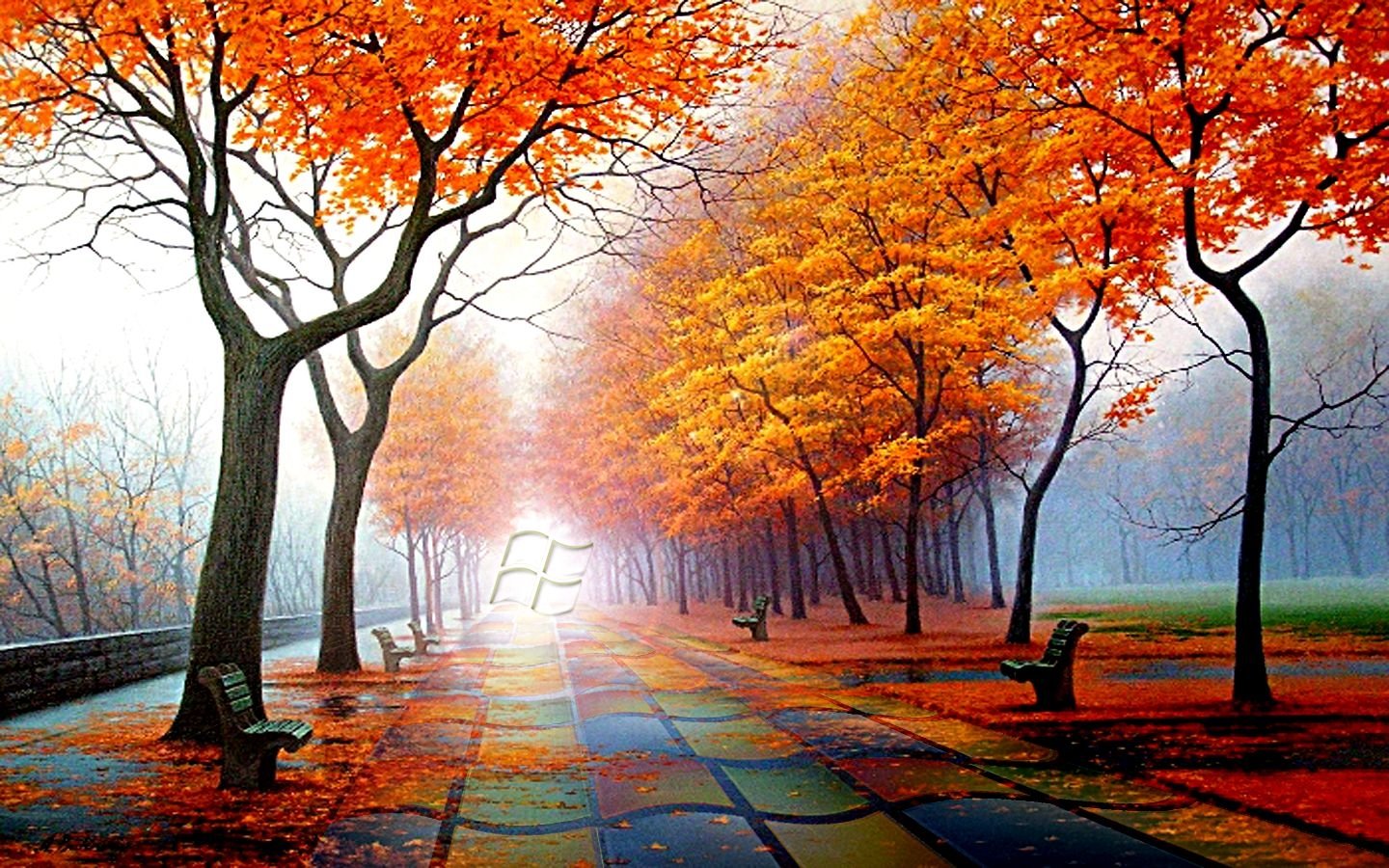 windows orange by luis poeta