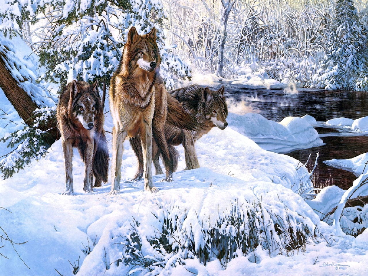 Download Animal Wolf Art