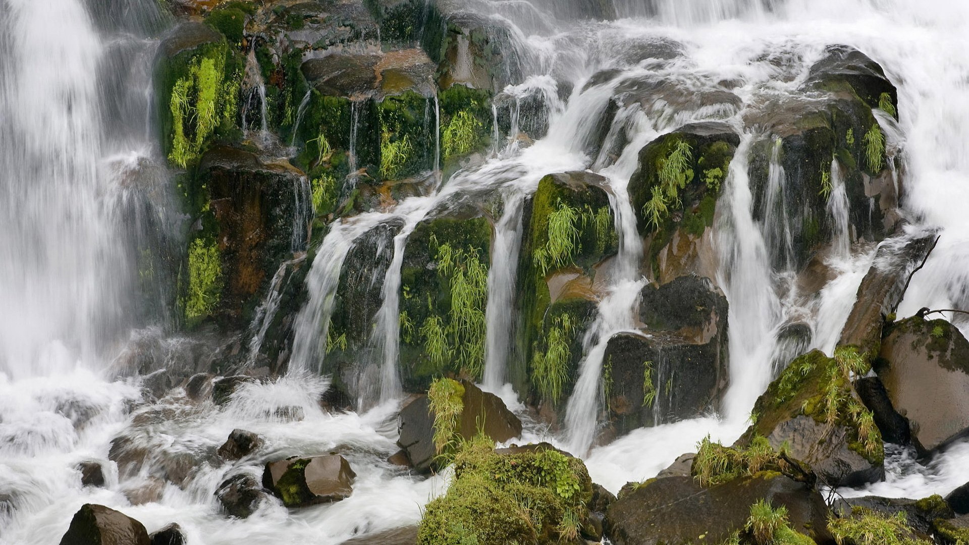 Serene Waterfall in Nature