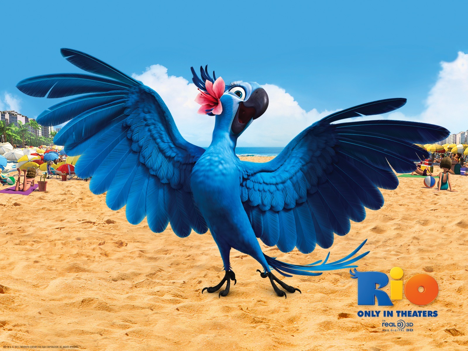 Download Movie Rio Animated Film Blue Macaw Beach Art