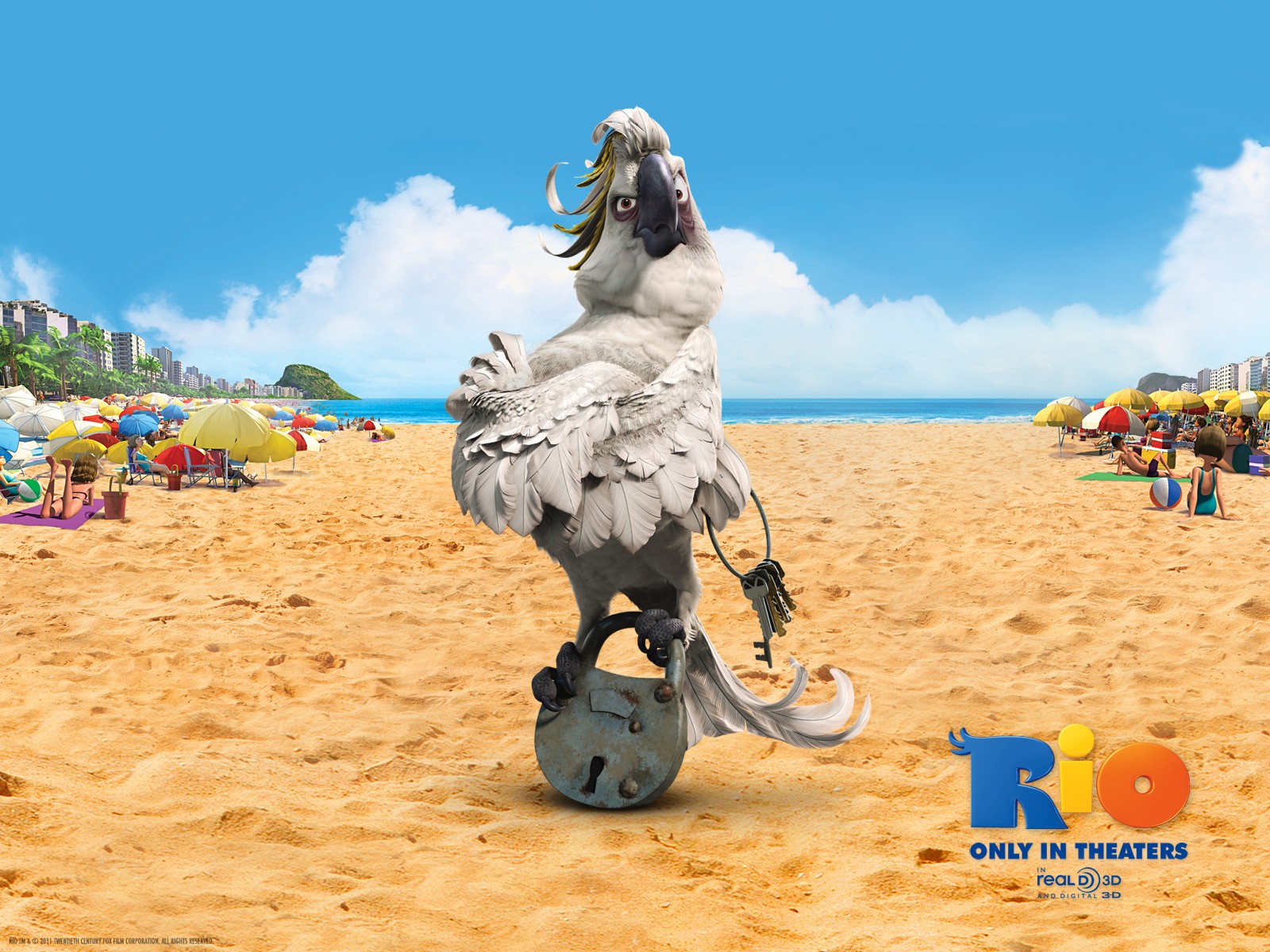 Download Movie Rio Animated Parrot Beach Art