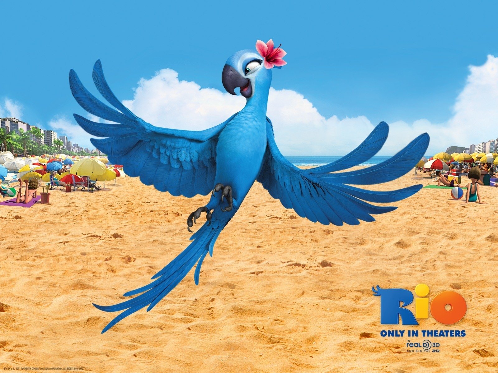 Download Movie Rio Parrot Beach Animation Art