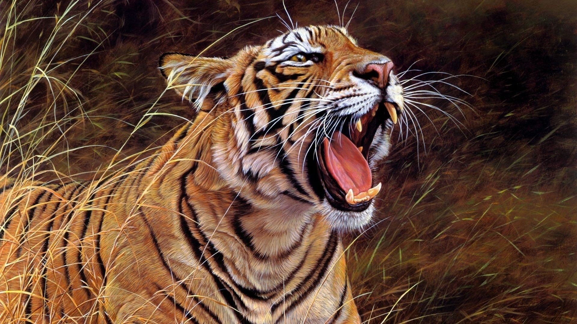 Download Animal Tiger Art