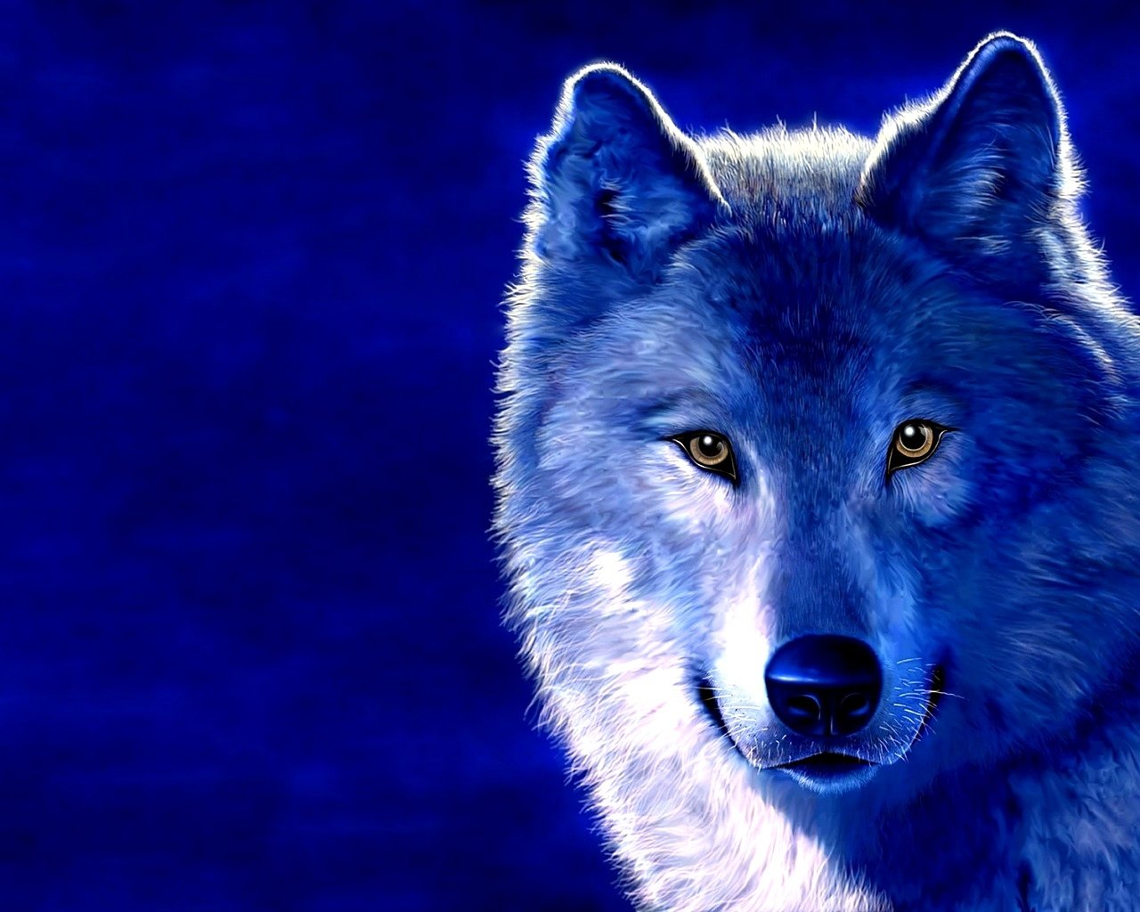 Download Blue Close-up Face Wolf Artistic Painting Art