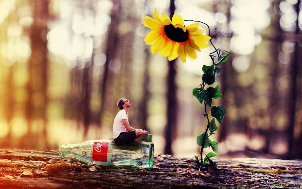 Blooming Dreams: A Surreal Dance Between Bottle and Flower