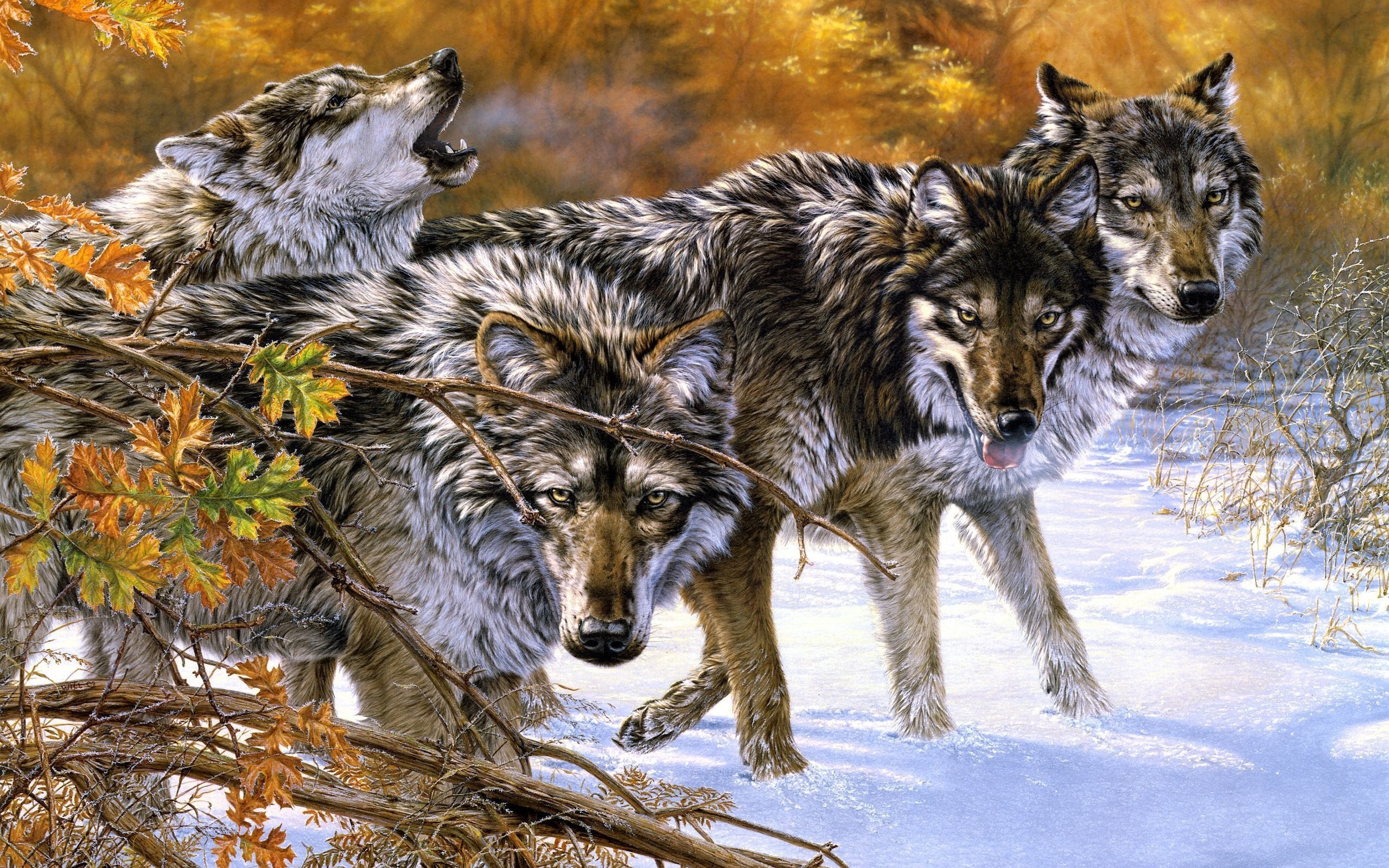 Download Animal Wolf Art