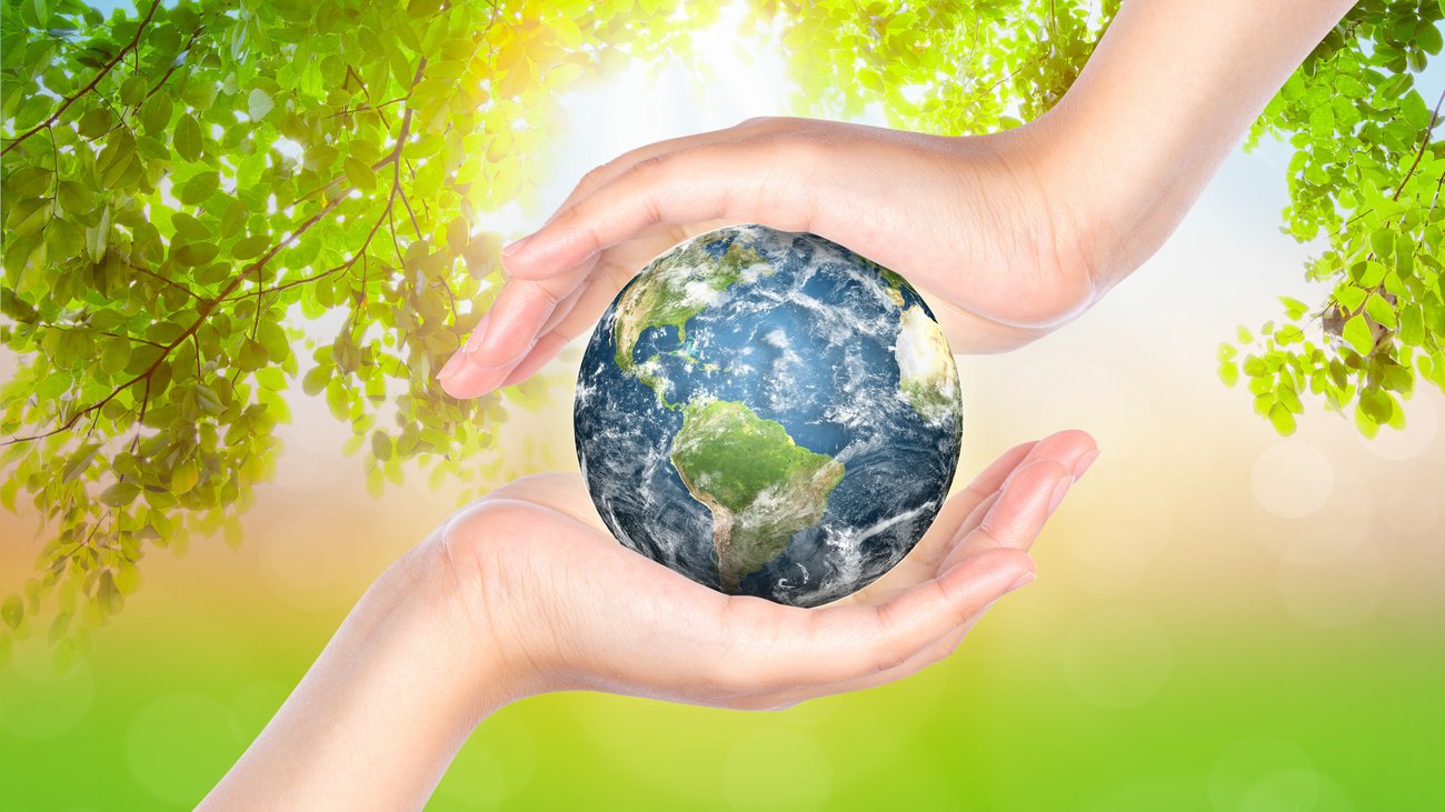 World Environment Day (2014) - Desktop Wallpapers, Phone Wallpaper, PFP ...