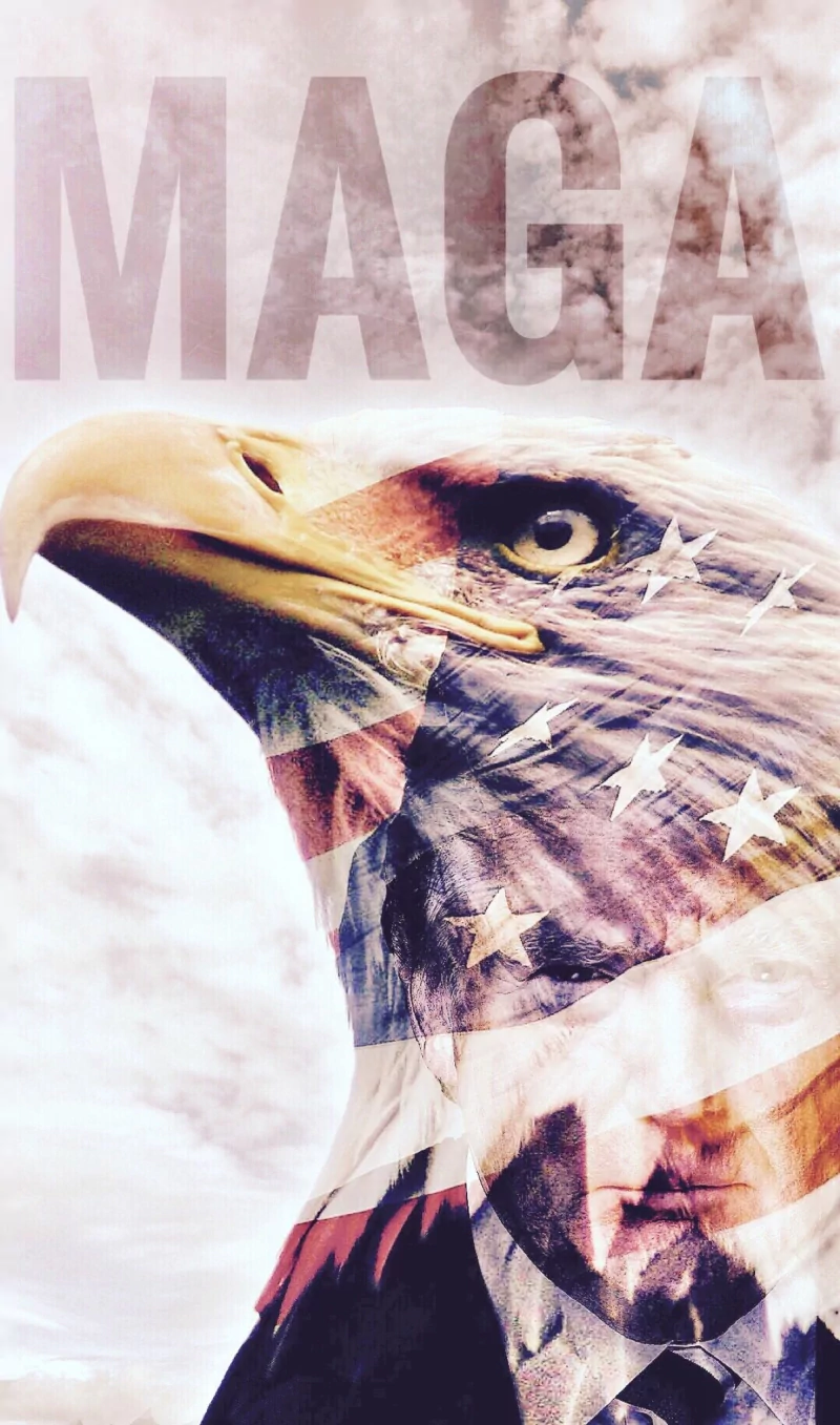 Donald Trump - Desktop Wallpapers, Phone Wallpaper, PFP, Gifs, and More!