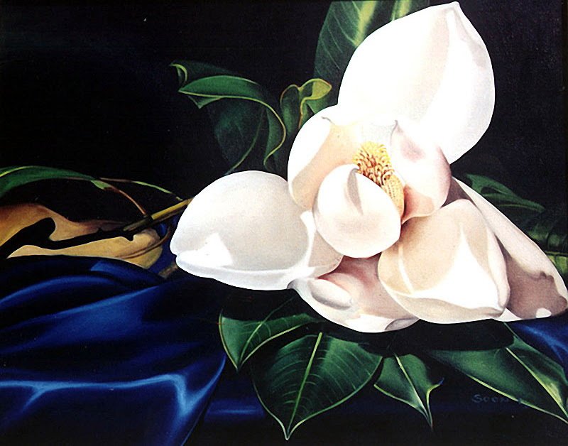 Realism - Desktop Wallpapers, Phone Wallpaper, PFP, Gifs, and More!