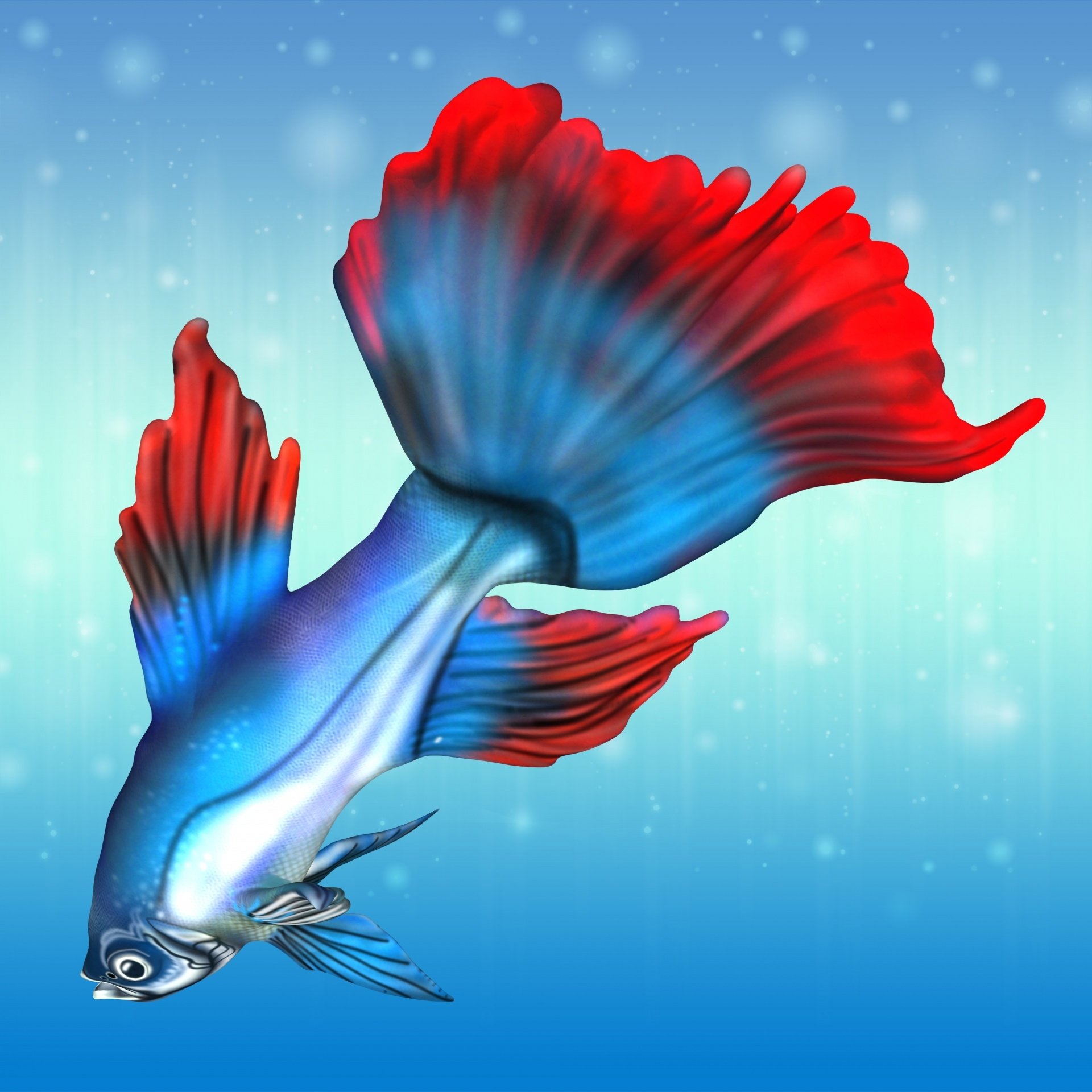 Download Siamese Fighting Fish Animal Betta Art