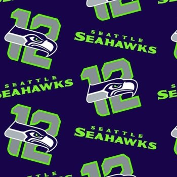 Seattle Seahawks Art